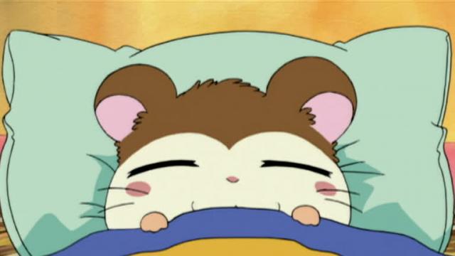 Hamtaro - 1 Épisode 17 : Hamtaro, le super détective - streaming - VF - ADN