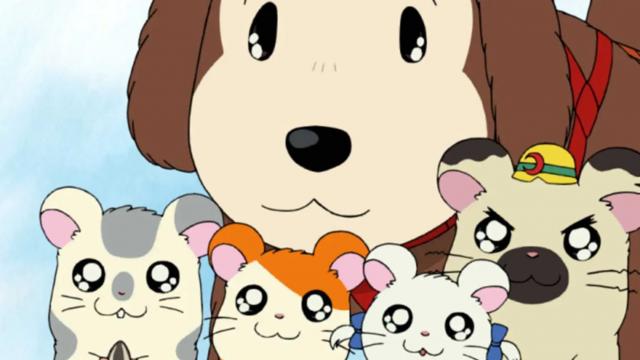 Hamtaro - 2 Épisode 30 : La Grande Course de Brandy ! - streaming - VF ...