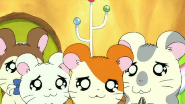 Hamtaro - 2 Épisode 33 : Traversons l’arc-en-ciel - streaming - VF - ADN