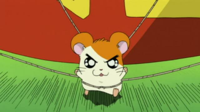 Hamtaro - 2 Épisode 39 : Les Ham-Hams volent ! - streaming - VF - ADN