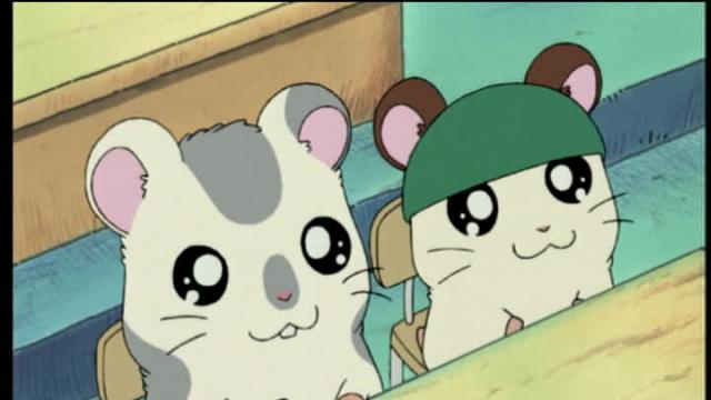 Hamtaro - 1 Épisode 9 : Les Ham-Hams à l’école - streaming - VF - ADN