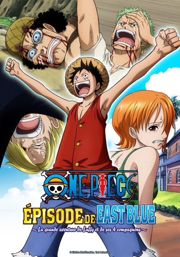 One Piece OAV en streaming VOSTFR et VF sur ADN