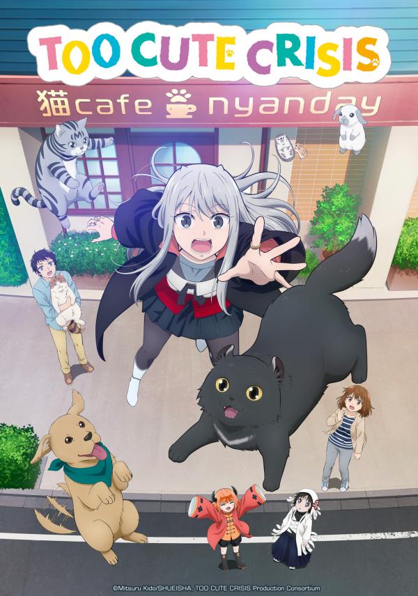 Too Cute Crisis En Streaming Vostfr